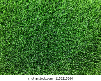 Artificial Grass Background Texture Stock Photo 1153215364 | Shutterstock
