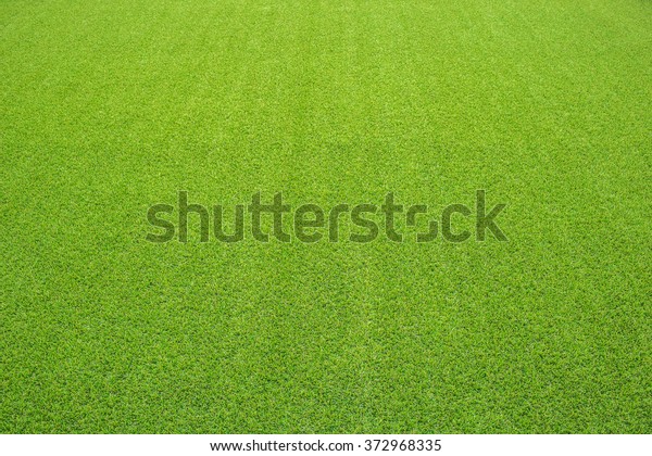 Artificial Grass Perspective View Stock Photo (Edit Now) 372968335