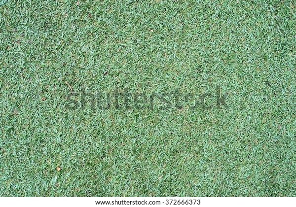 Artificial Grass Texture Background Stock Photo 372666373 | Shutterstock