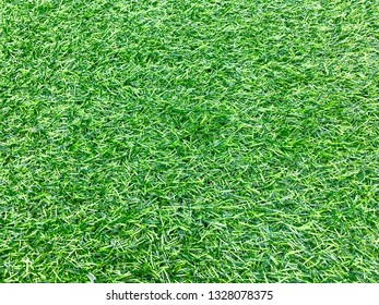 Artificial Grass Texturebackgrounds Stock Photo 1328078375 | Shutterstock