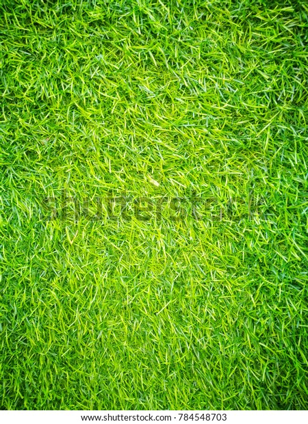 Artificial Turf Background Stock Photo 784548703 | Shutterstock