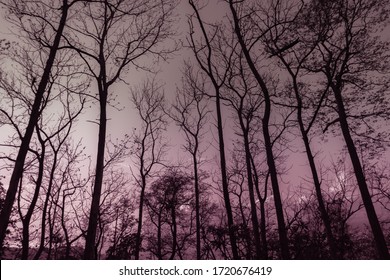 37,605 Shadowy Images, Stock Photos & Vectors | Shutterstock