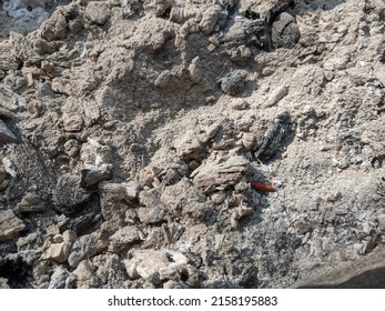 3,953 Ash pit Images, Stock Photos & Vectors | Shutterstock