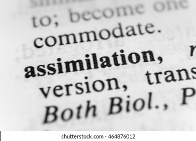 142 Immigrant assimilation Images, Stock Photos & Vectors | Shutterstock