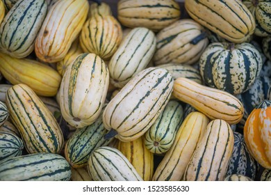 Assorted Fall Squash Close Ups Stock Photo 1523585630 | Shutterstock