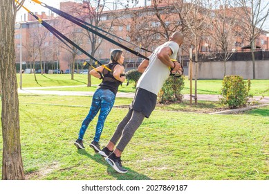 640 Back strap muscles Images, Stock Photos & Vectors | Shutterstock