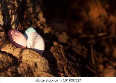 803 Easter camping Stock Photos, Images & Photography | Shutterstock