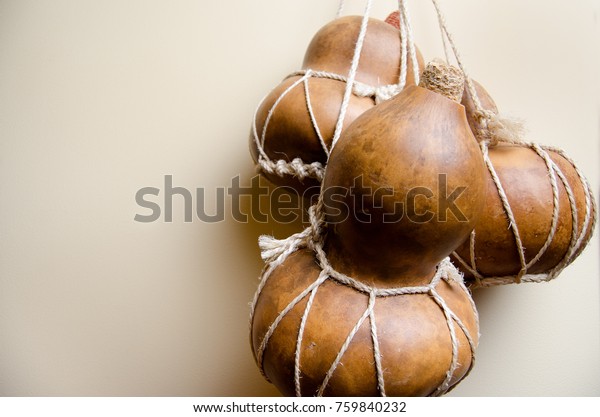 Authentic Mexican Guaje Stock Photo 759840232 | Shutterstock