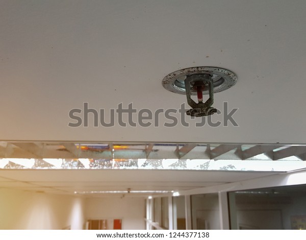 Automatic Fire Extinguishing System Stock Photo 1244377138 | Shutterstock