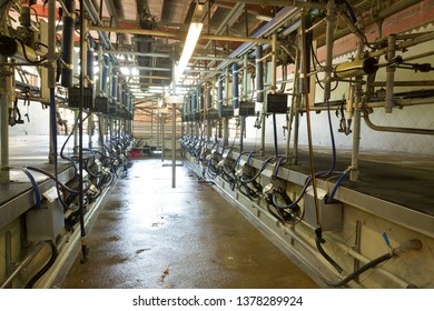 Automatic Milking System Cows Dairy Farm Stock Photo 1378289924 ...
