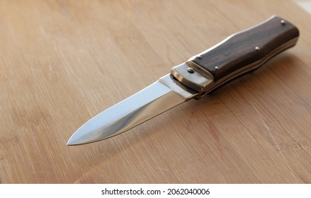Automatic Switchblade Dagger Blade Profile Handle Stock Photo ...