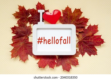 1 Hellofall Images, Stock Photos & Vectors | Shutterstock