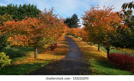 115,511 Autumn pathway Images, Stock Photos & Vectors | Shutterstock