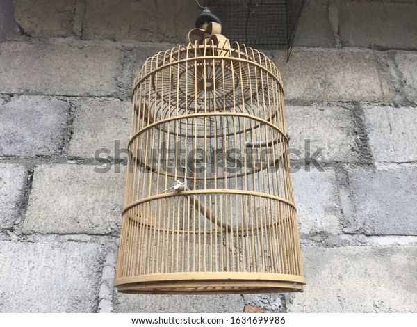 Aviary Brick Wall Background Stock Photo 1634699986 | Shutterstock