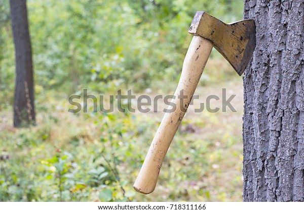 Axe Thrust Into Trunk Tree Forest Stock Photo 718311166 | Shutterstock