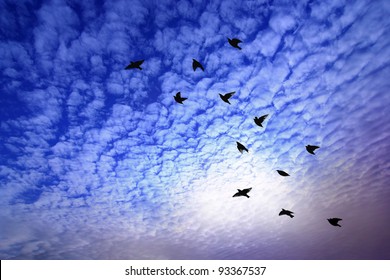 11,746 Flying Bird Back Images, Stock Photos & Vectors | Shutterstock