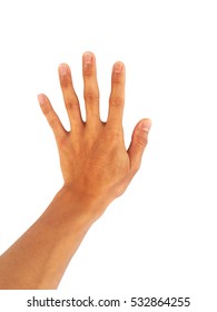 Back Left Hand Stock Photo 532864255 | Shutterstock