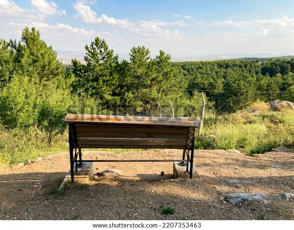 Back View Bench Blue Sky Trees Stock Photo 2207353463 | Shutterstock