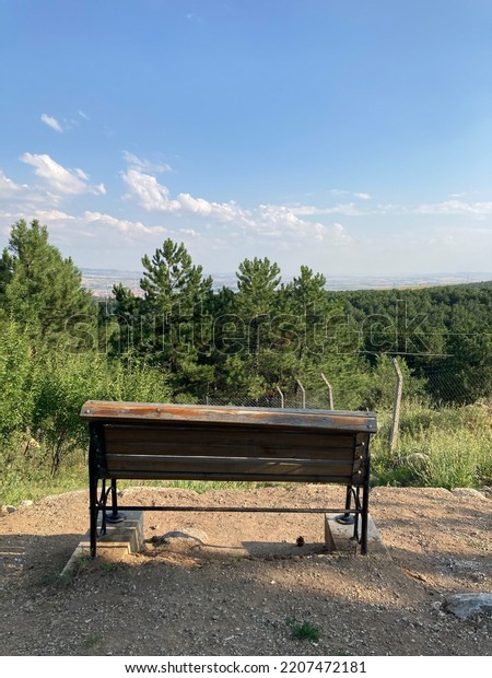 Back View Bench Blue Sky Trees Stock Photo 2207472181 | Shutterstock