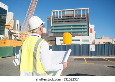 Back View Construction Engineer Hardhat Looking Stock Photo 331022324 ...