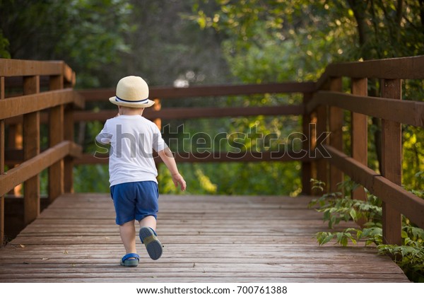 Back View On Small Running Toddler Stock Photo (Edit Now) 700761388