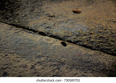 Back Wall Texture Background Stock Photo 730589701 | Shutterstock