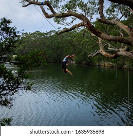 Backflipping Action Off Tree Stock Photo 1635935698 | Shutterstock