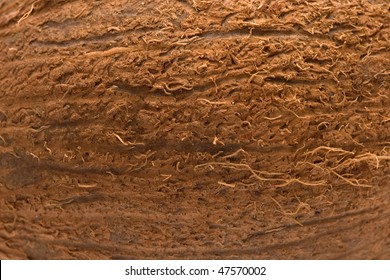 174,094 Coconut texture Images, Stock Photos & Vectors | Shutterstock