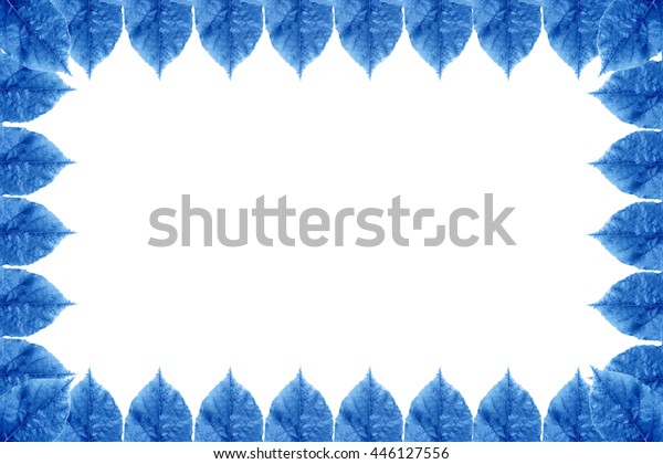Background Blue Leaf Frame Isolated On Stock Photo (Edit Now) 446127556