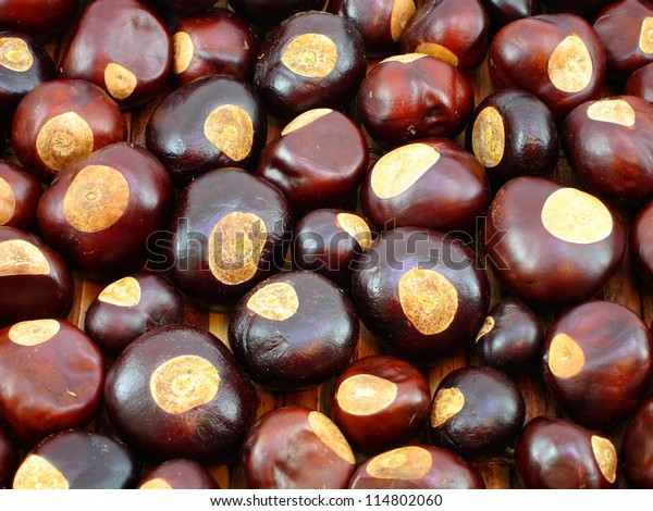 Background Buckeye Nuts Stock Photo (Edit Now) 114802060