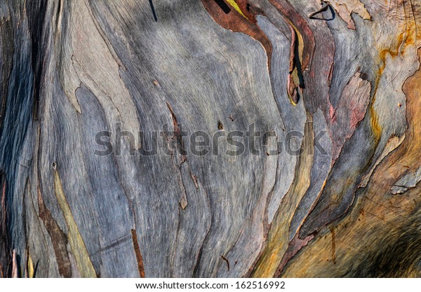 3,787 Gum Tree Bark Texture Images, Stock Photos & Vectors | Shutterstock