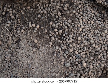 1,822 Fine aggregate Images, Stock Photos & Vectors | Shutterstock