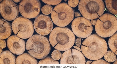 Background Formed By Crosscut Overlapping Tree Stock Photo 2209727657 ...