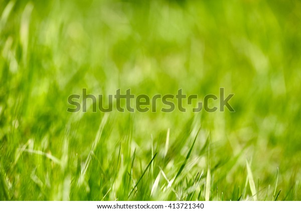Background Green Grass Soft Image Stock Photo 413721340 | Shutterstock