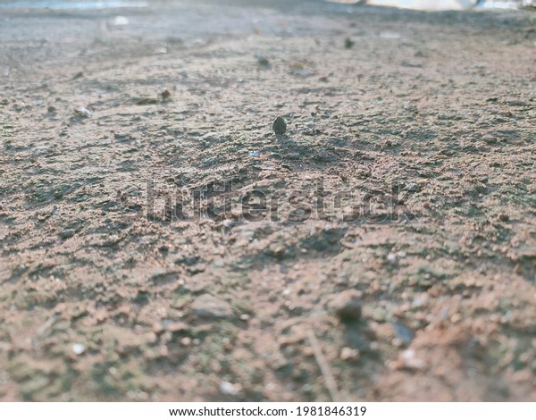 Background Ground Texture Hd Ground Texture Stock Photo 1981846319 ...
