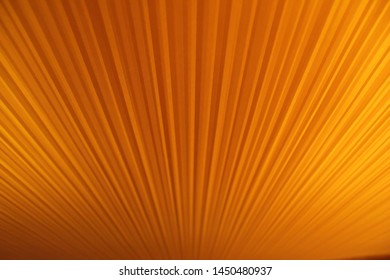 Background Light Design Pattern Line Wallpaper Stock Photo 1450480937 ...
