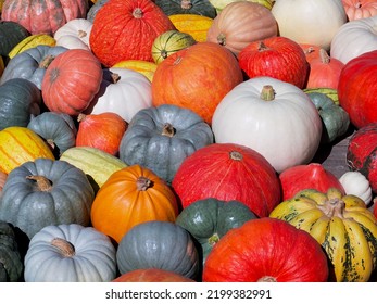 8,545 Multicolored pumpkin Images, Stock Photos & Vectors | Shutterstock