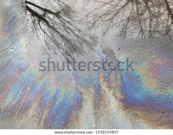 Background Oil Spill Trees Reflection Puddle Stock Photo 1938559807 ...