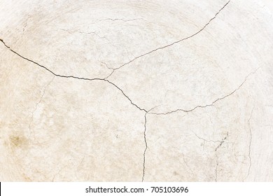 Bone Texture Images, Stock Photos & Vectors | Shutterstock