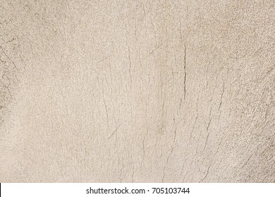 Bone Texture Images, Stock Photos & Vectors | Shutterstock