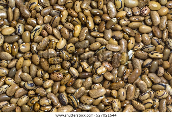 Background Raw Beans Close Shot Stock Photo (Edit Now) 527021644