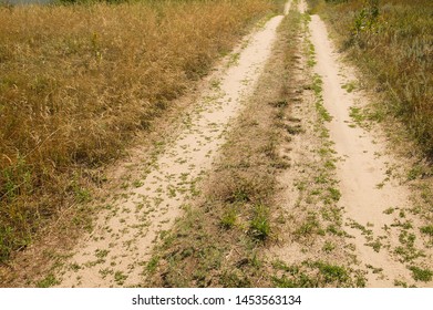 368 Sun bleached grass Images, Stock Photos & Vectors | Shutterstock