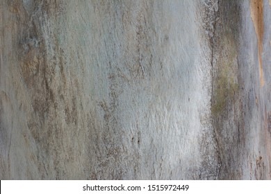 Background Smooth Tree Trunk Without Bark Stock Photo 1515972449 ...