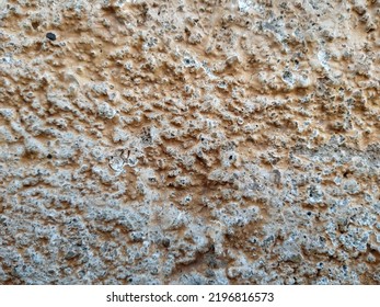 Background Splattered Wall Texture Stock Photo 2196816573 | Shutterstock