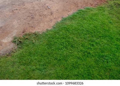Background Split Half Soil Grass Stock Photo 1099683326 | Shutterstock