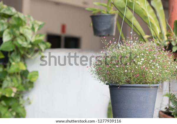 Background Text Input Consisting White Floor Stock Photo 1277939116 ...