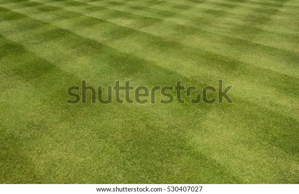 Background Texture Checkerboard Pattern Green Grass Stock Photo ...