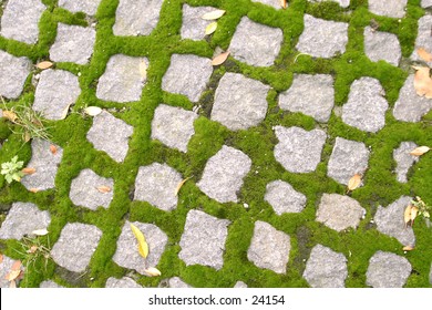 Background Texture Image Cobblestone Moss Stock Photo 24154 | Shutterstock