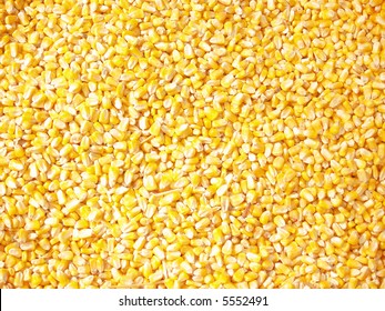 Background Texture Loose Corn Kernels Stock Photo 5552491 | Shutterstock