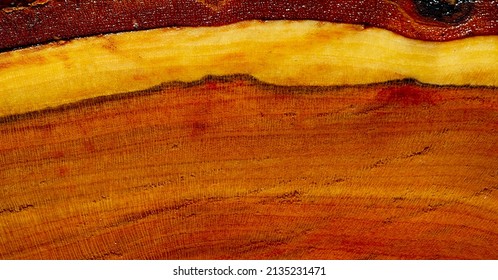 9,429 Datum fruit Images, Stock Photos & Vectors | Shutterstock